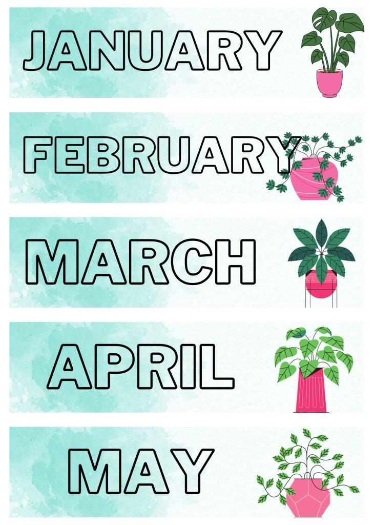 Classroom Displays - Teacher Toolbox - Primary school resources